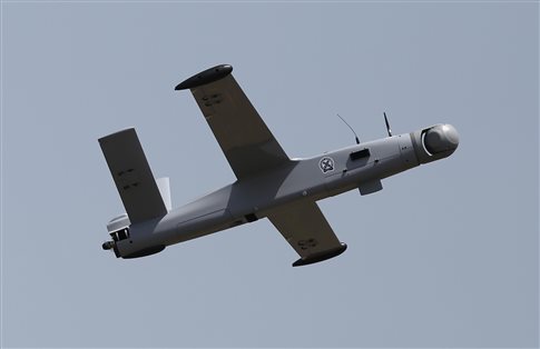 BlueBird ThunderB – Γαλανόλευκα Φτερά – Blue White Wings